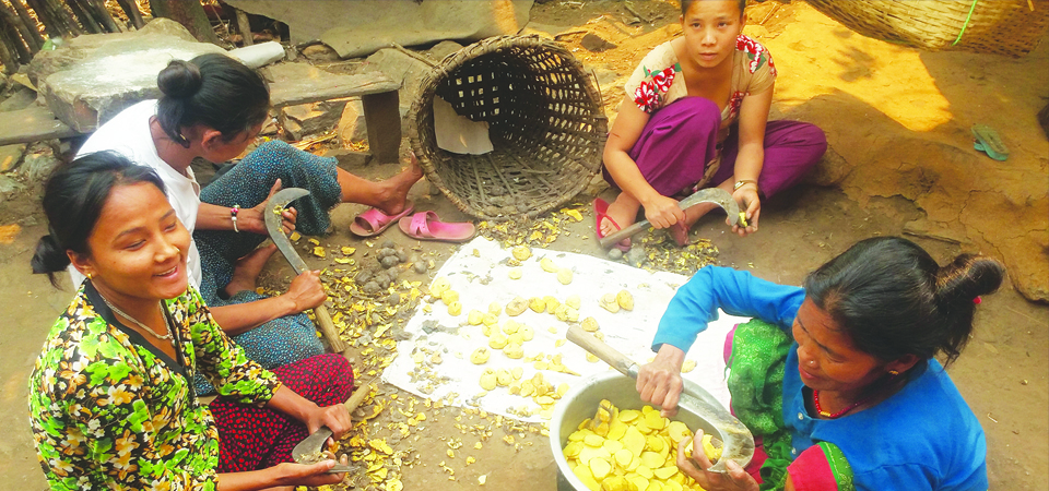 Chepang People Forced To Survive On Wild Tubers « Nepalese Voice